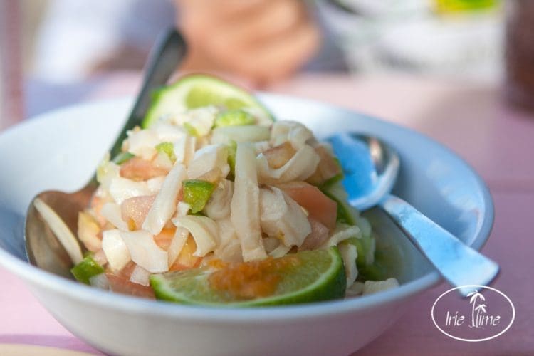 Turks & Caicos Conch Farm – My Irie Time